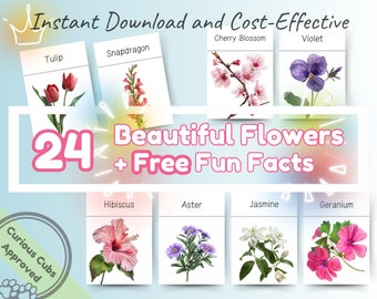 24 Desert Animals Montessori Flashcards With Fun Facts: Educational ...