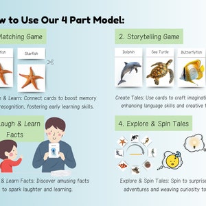 24 Antarctic Animals Montessori Flashcards With Fun Facts: Educational ...