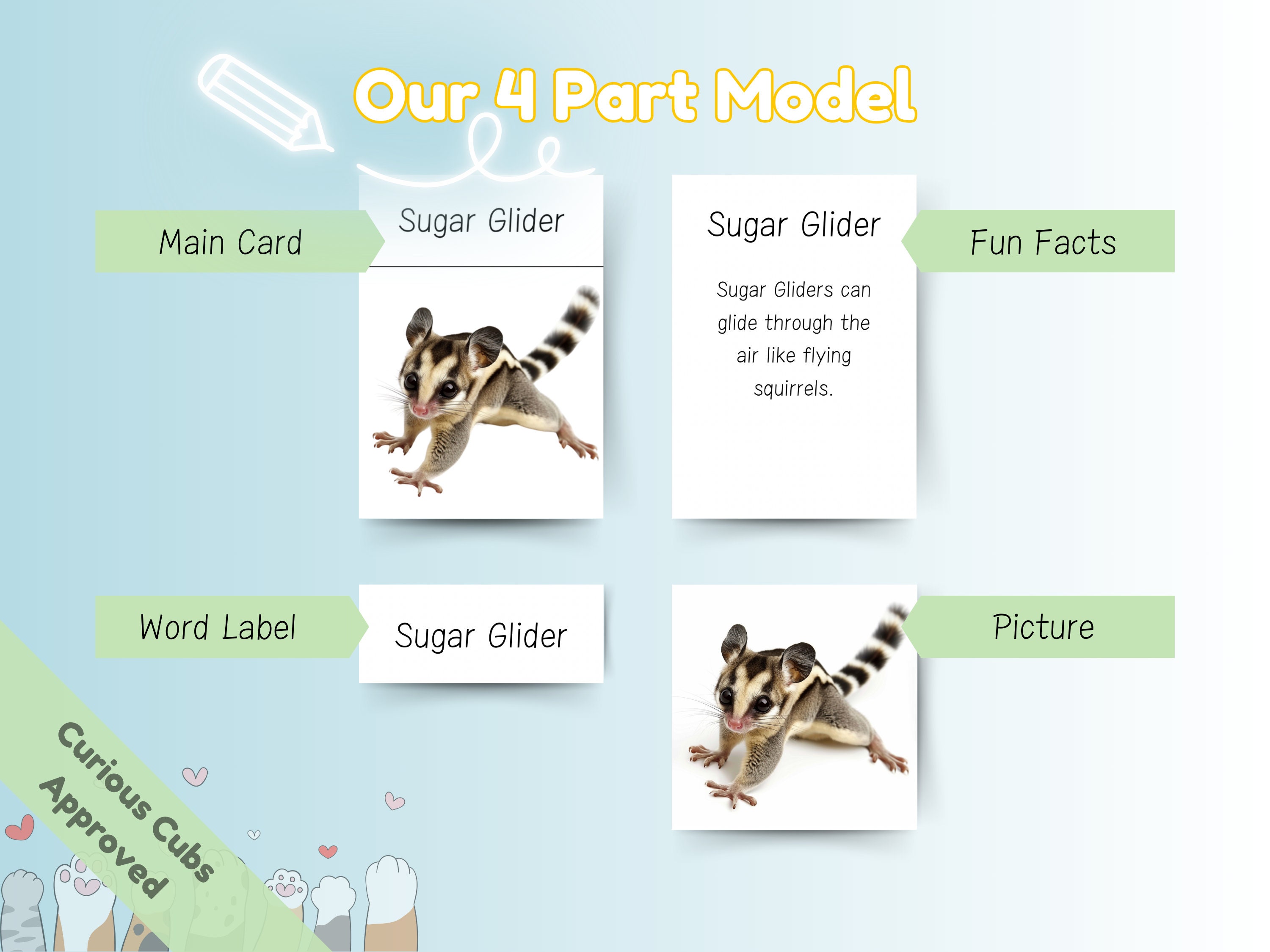 24 Australian Animals Montessori Flashcards With Fun Facts: Educational ...