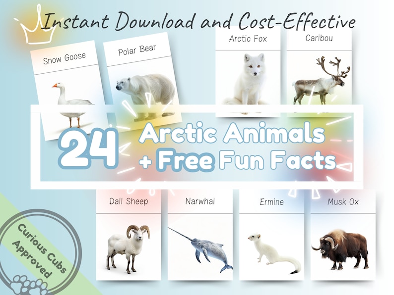 24 Arctic Animals Montessori Flashcards With Fun Facts: Educational ...