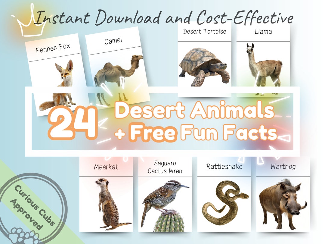 24 Desert Animals Montessori Flashcards With Fun Facts: Educational ...