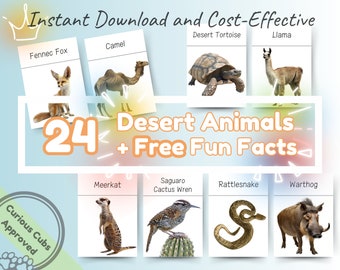 DESERT ANIMALS Flash Cards Vocabulary Builder Montessori Inspired ...