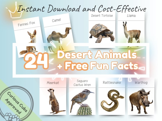 Desert Animals For Kids List With Pictures Facts