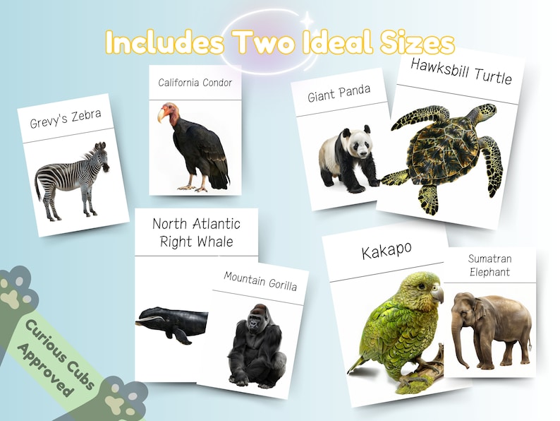 24 Endangered Animals Montessori Flashcards With Fun Facts: Educational ...