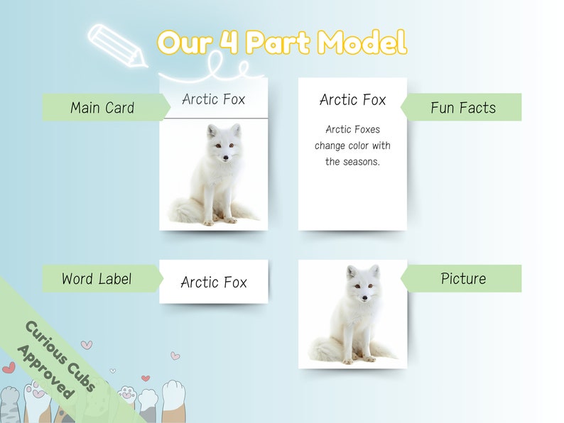 24 Arctic Animals Montessori Flashcards With Fun Facts: Educational ...