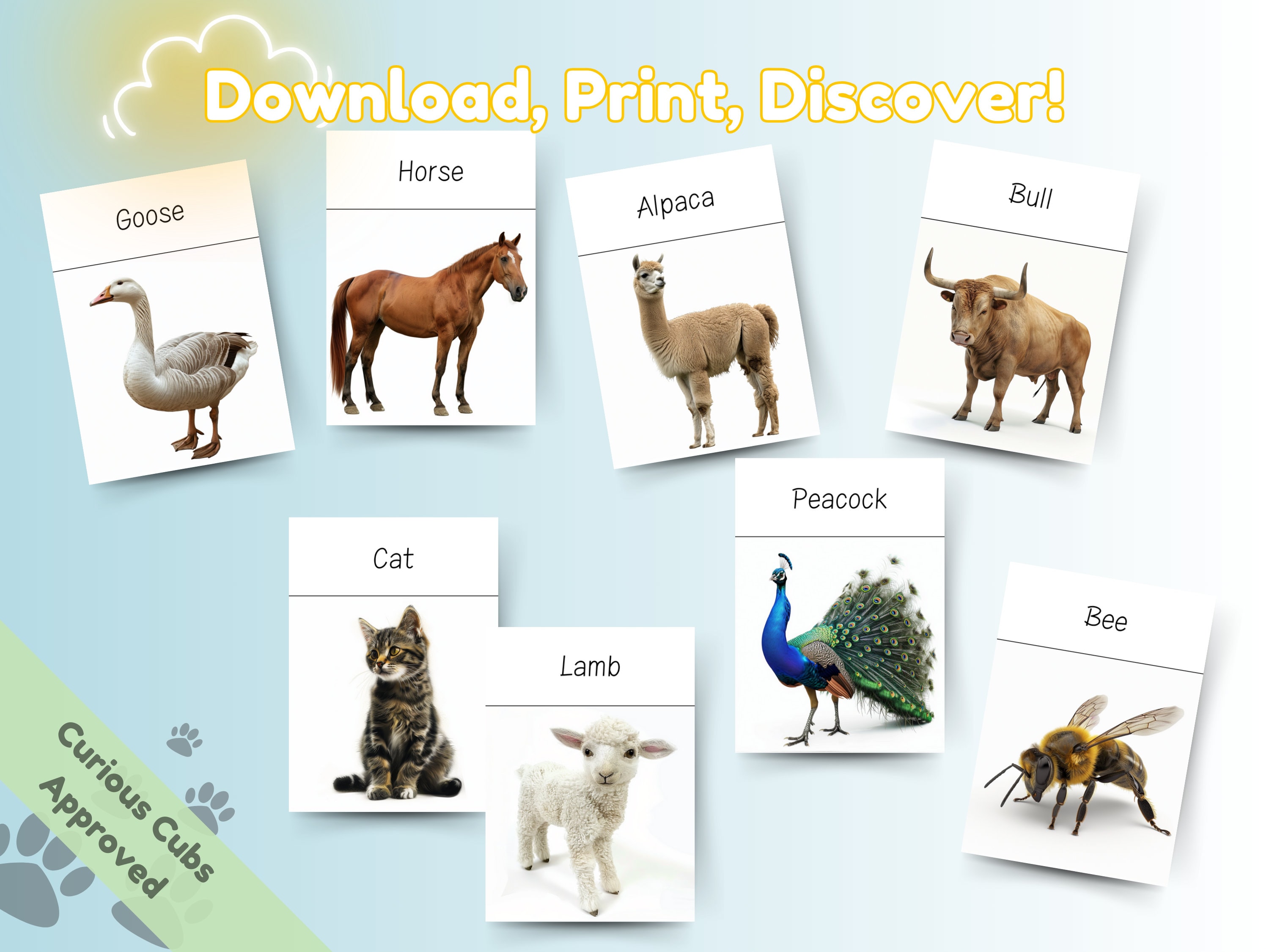 Farm Animals Montessori Flashcards: Fun Facts, Toddler Education ...