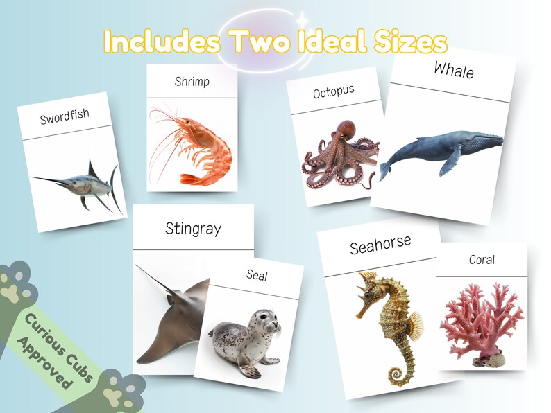 Ocean Animals Montessori Flashcards: Fun Facts, Toddler Education ...