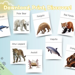 24 Endangered Animals Montessori Flashcards With Fun Facts: Educational ...