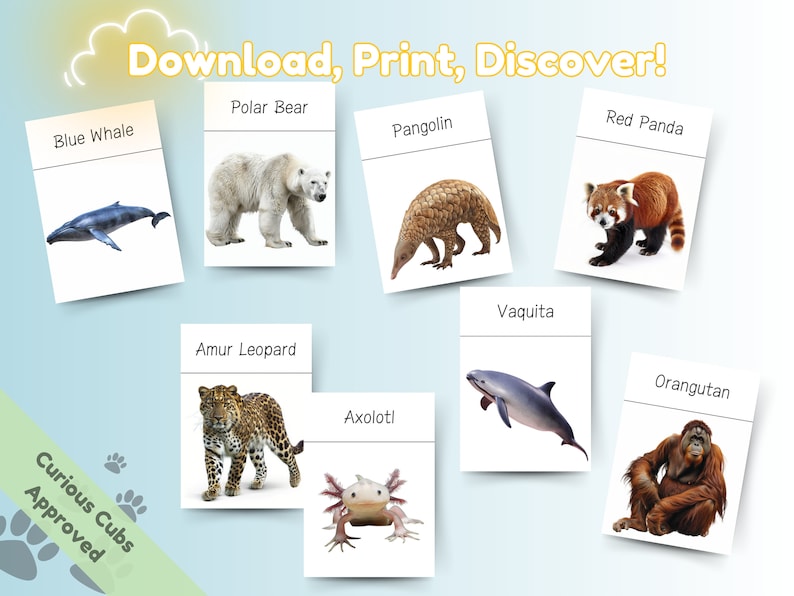 24 Endangered Animals Montessori Flashcards With Fun Facts: Educational ...