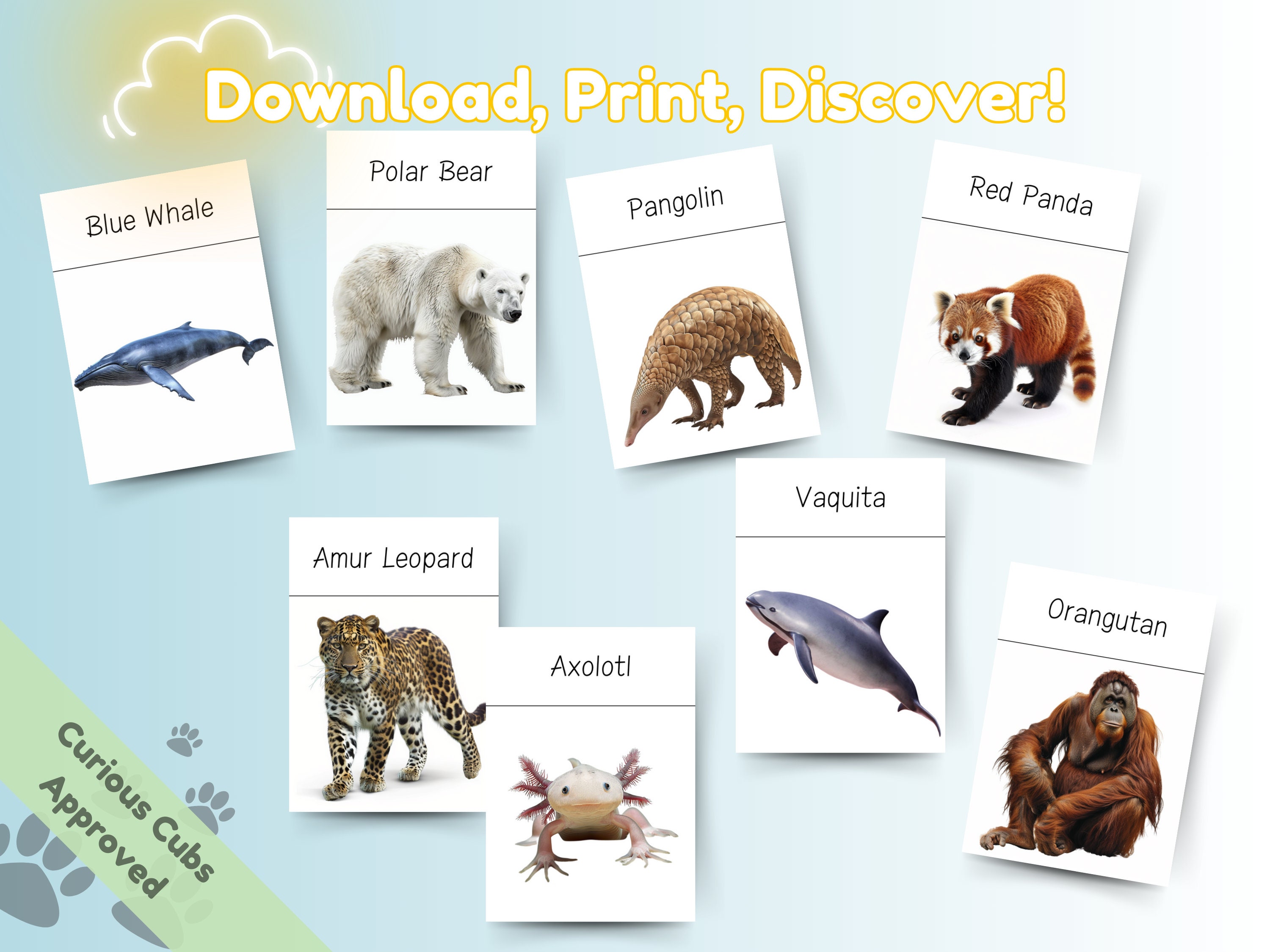 24 Endangered Animals Montessori Flashcards With Fun Facts: Educational ...