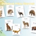 24 Desert Animals Montessori Flashcards With Fun Facts: Educational ...