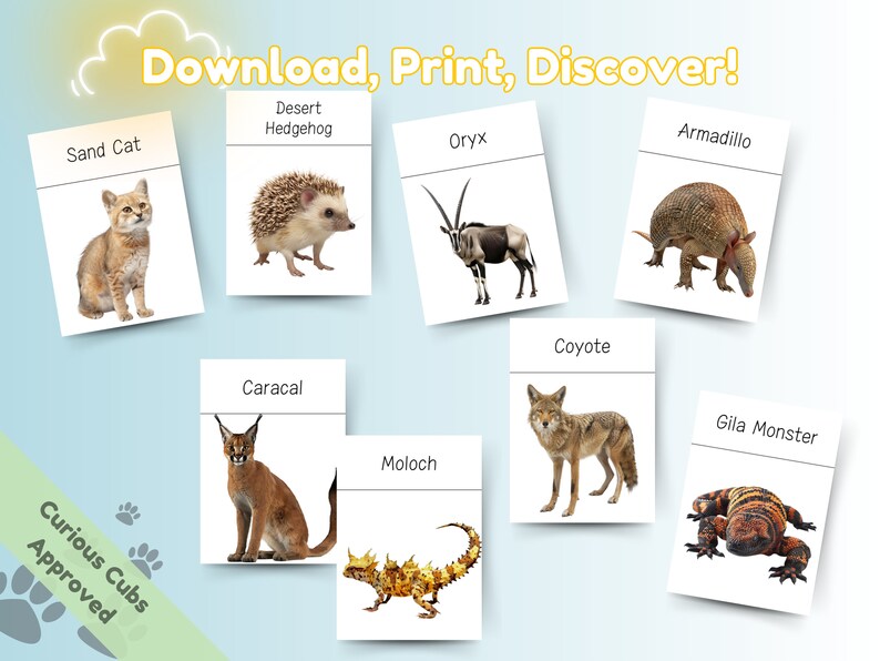 24 Desert Animals Montessori Flashcards With Fun Facts: Educational ...