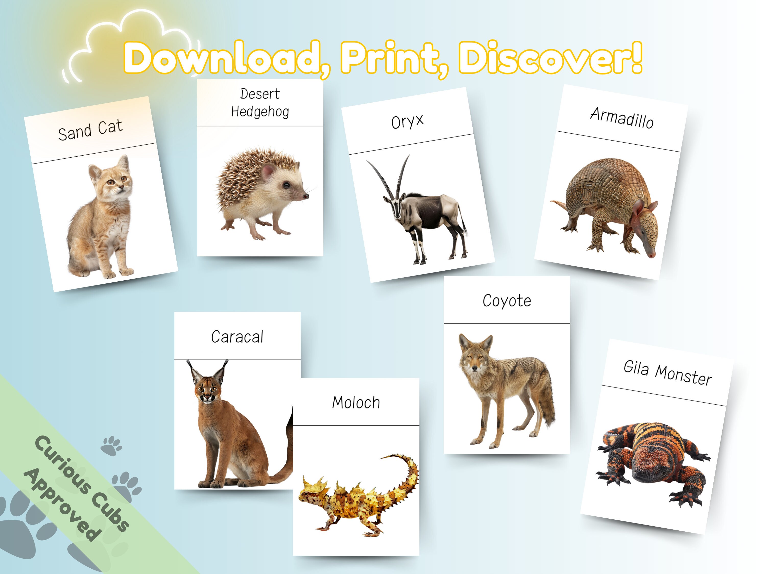 24 Desert Animals Montessori Flashcards With Fun Facts: Educational ...