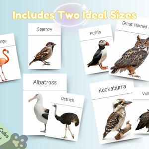 24 Bird Animals Montessori Flashcards With Fun Facts: Educational & Fun ...