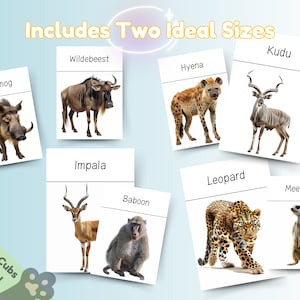 24 Safari Animals Montessori Flashcards With Fun Facts: Educational ...
