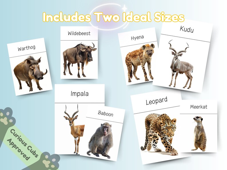 24 Safari Animals Montessori Flashcards With Fun Facts: Educational ...