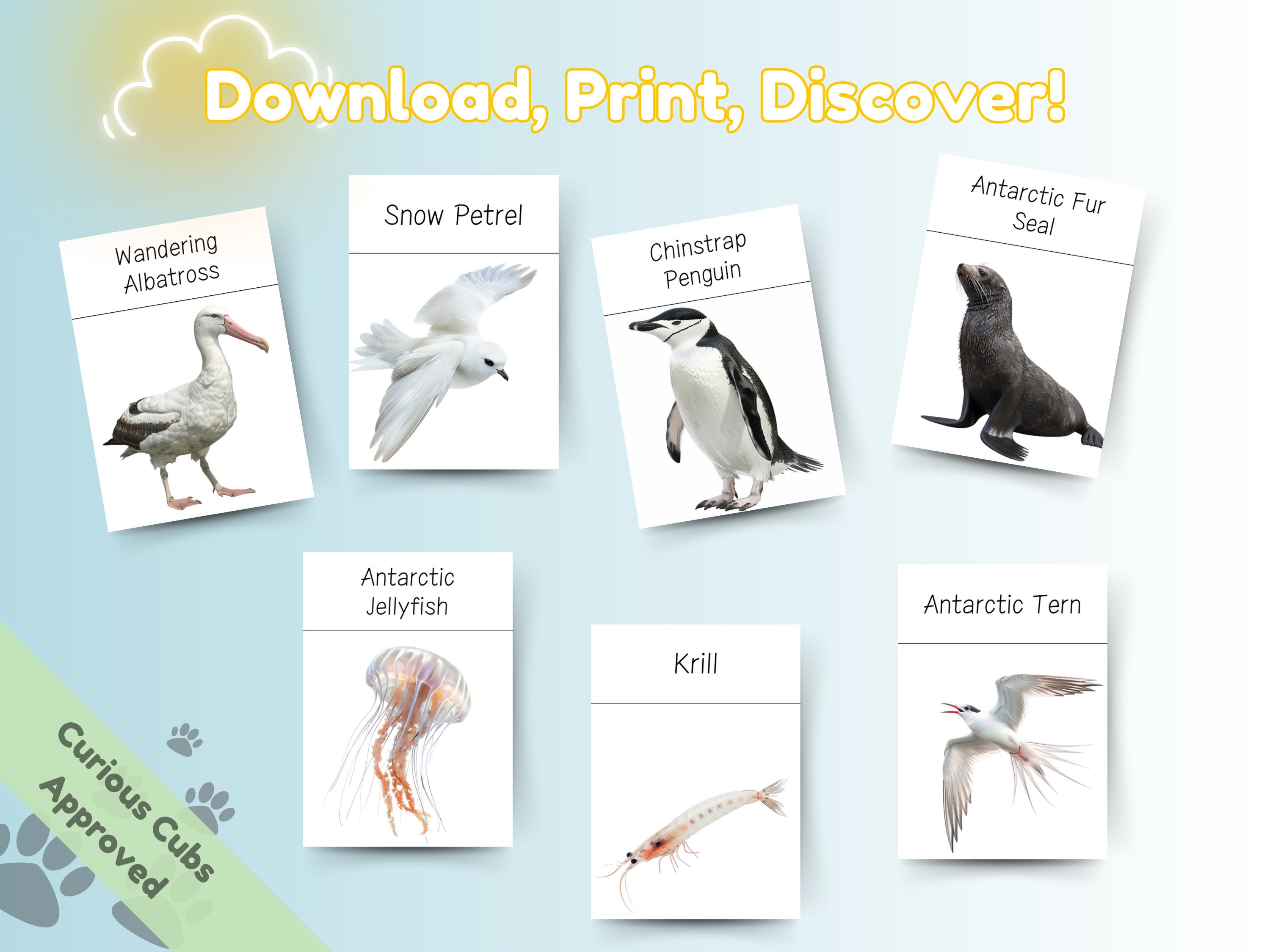 24 Antarctic Animals Montessori Flashcards With Fun Facts: Educational ...