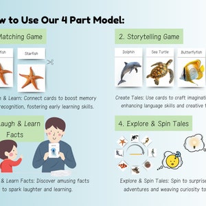 24 Safari Animals Montessori Flashcards With Fun Facts: Educational ...