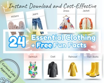 24 Musical Instruments Montessori Flashcards With Fun Facts ...