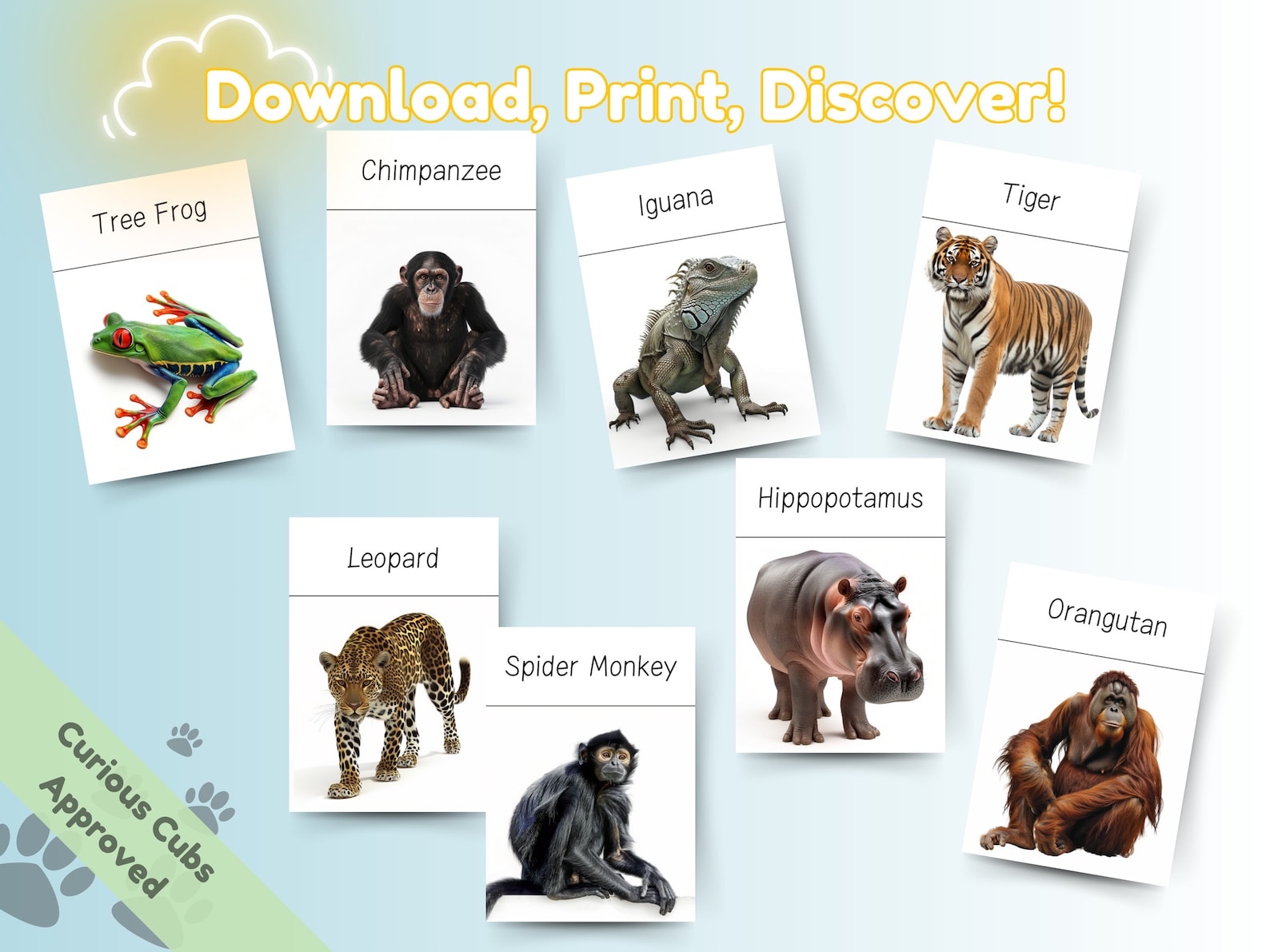 24 Jungle and Rainforest Animals Montessori Flashcards + Fun Facts ...