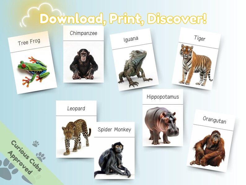 24 Jungle and Rainforest Animals Montessori Flashcards + Fun Facts ...