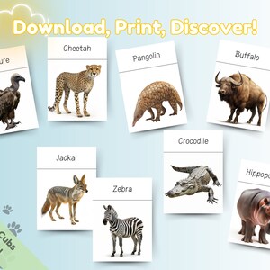 24 Safari Animals Montessori Flashcards With Fun Facts: Educational ...
