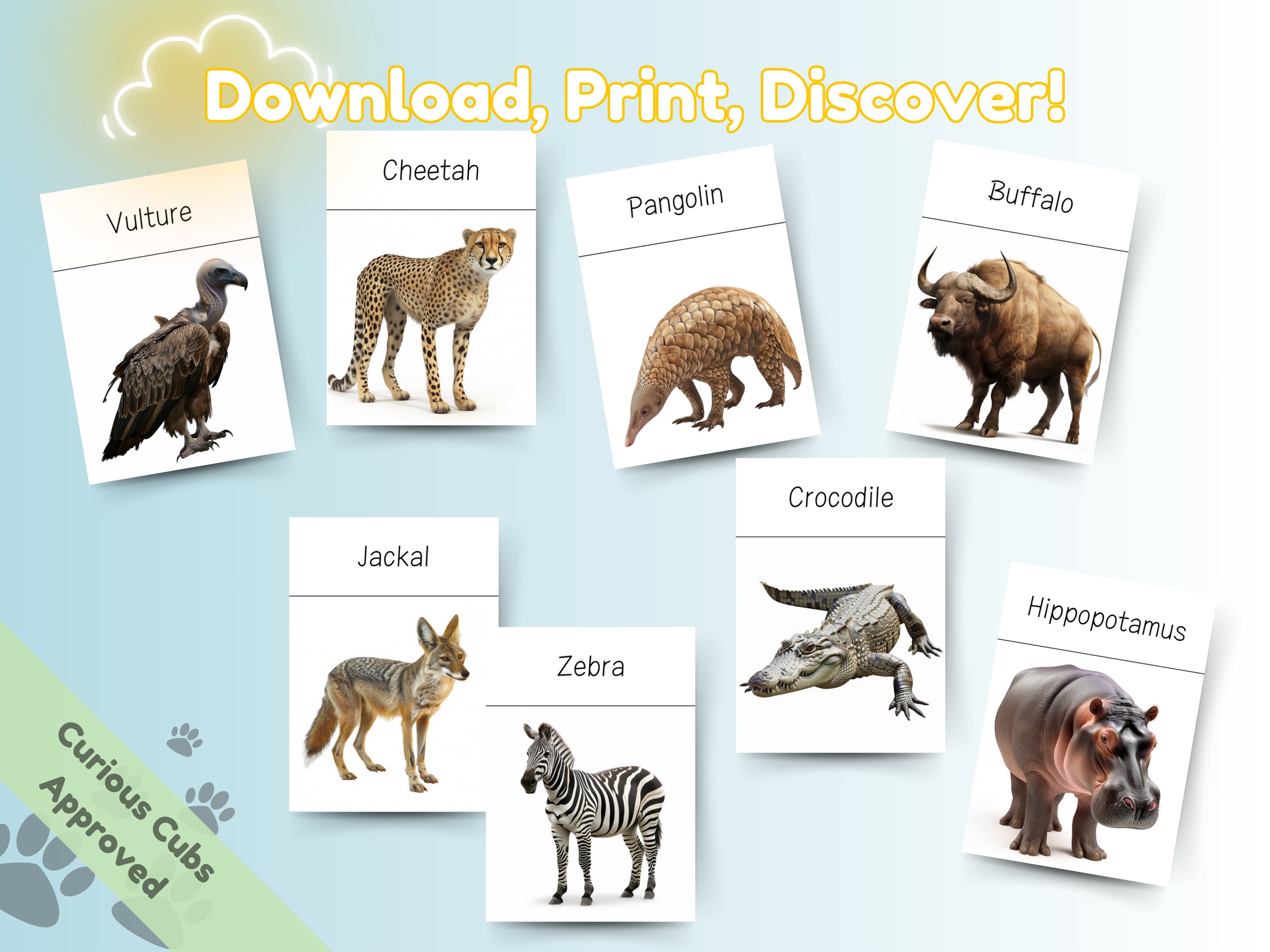 24 Safari Animals Montessori Flashcards With Fun Facts: Educational ...
