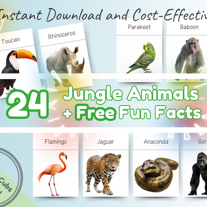 Animal Flash Cards - Etsy