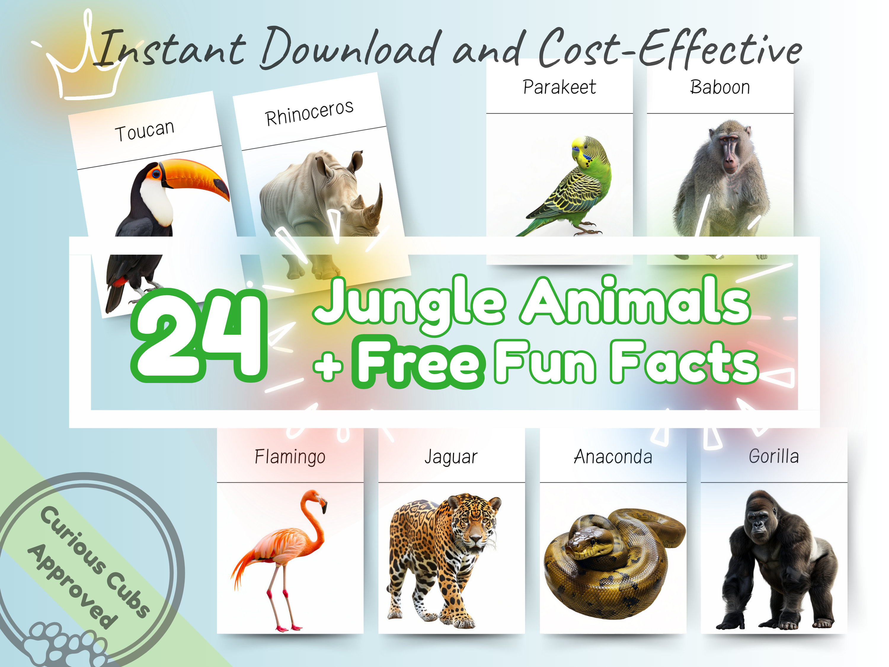 24 Jungle and Rainforest Animals Montessori Flashcards + Fun Facts ...
