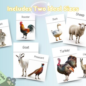 24 Farm Animals Montessori Flashcards With Fun Facts: Educational & Fun ...