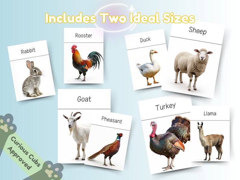 24 Farm Animals Montessori Flashcards With Fun Facts: Educational & Fun ...