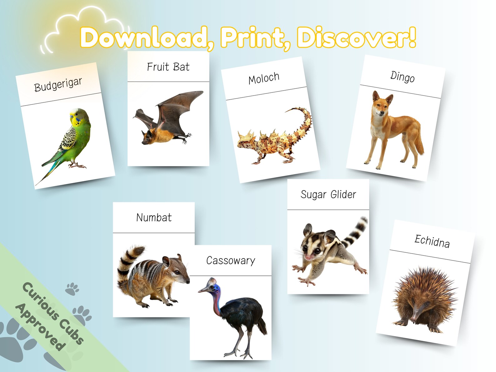 Australian Animals Montessori Flashcards: Fun Facts Printable (digital ...