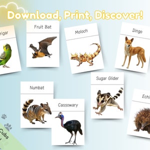 24 Australian Animals Montessori Flashcards With Fun Facts: Educational ...