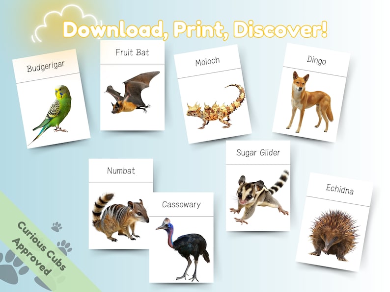 24 Australian Animals Montessori Flashcards With Fun Facts: Educational ...