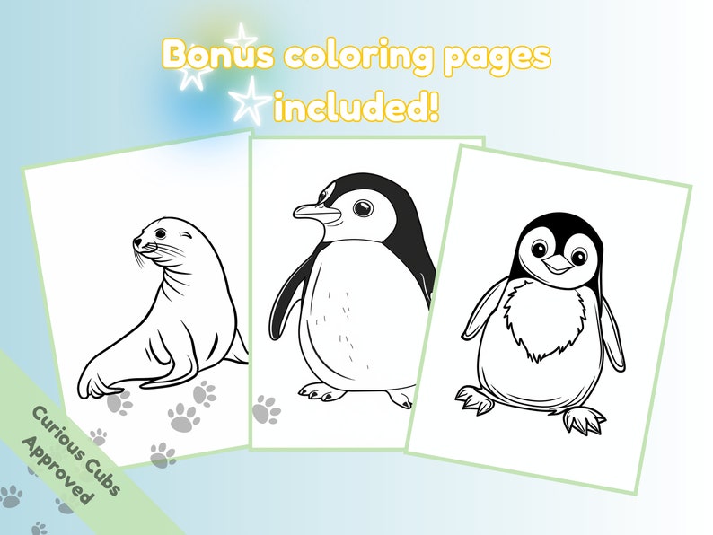 24 Antarctic Animals Montessori Flashcards With Fun Facts: Educational ...