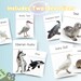 Arctic Animals Montessori Flashcards: Fun Facts Printable (digital ...