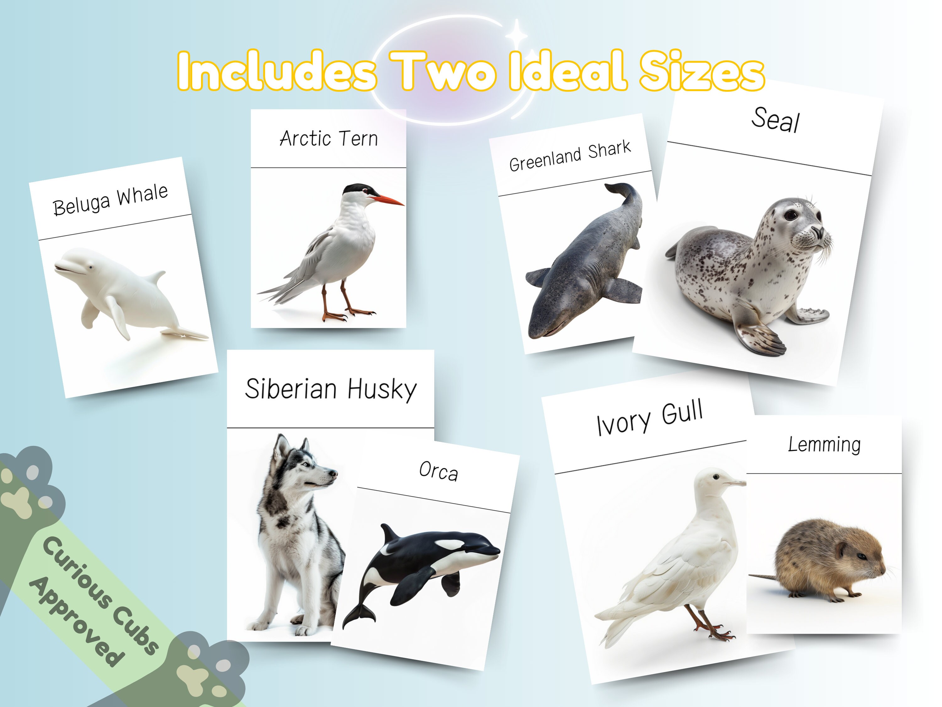24 Arctic Animals Montessori Flashcards With Fun Facts: Educational ...