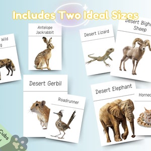 24 Desert Animals Montessori Flashcards With Fun Facts: Educational ...