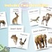 24 Desert Animals Montessori Flashcards With Fun Facts: Educational ...
