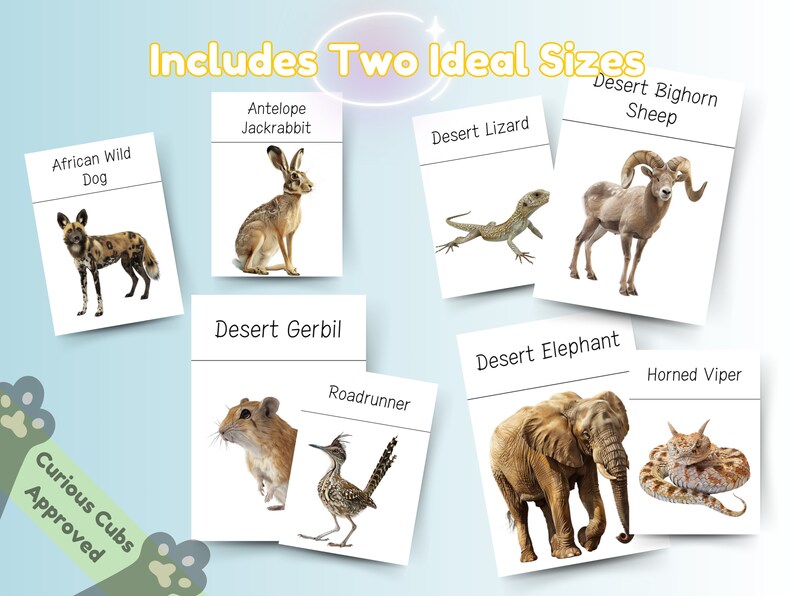 24 Desert Animals Montessori Flashcards With Fun Facts: Educational ...