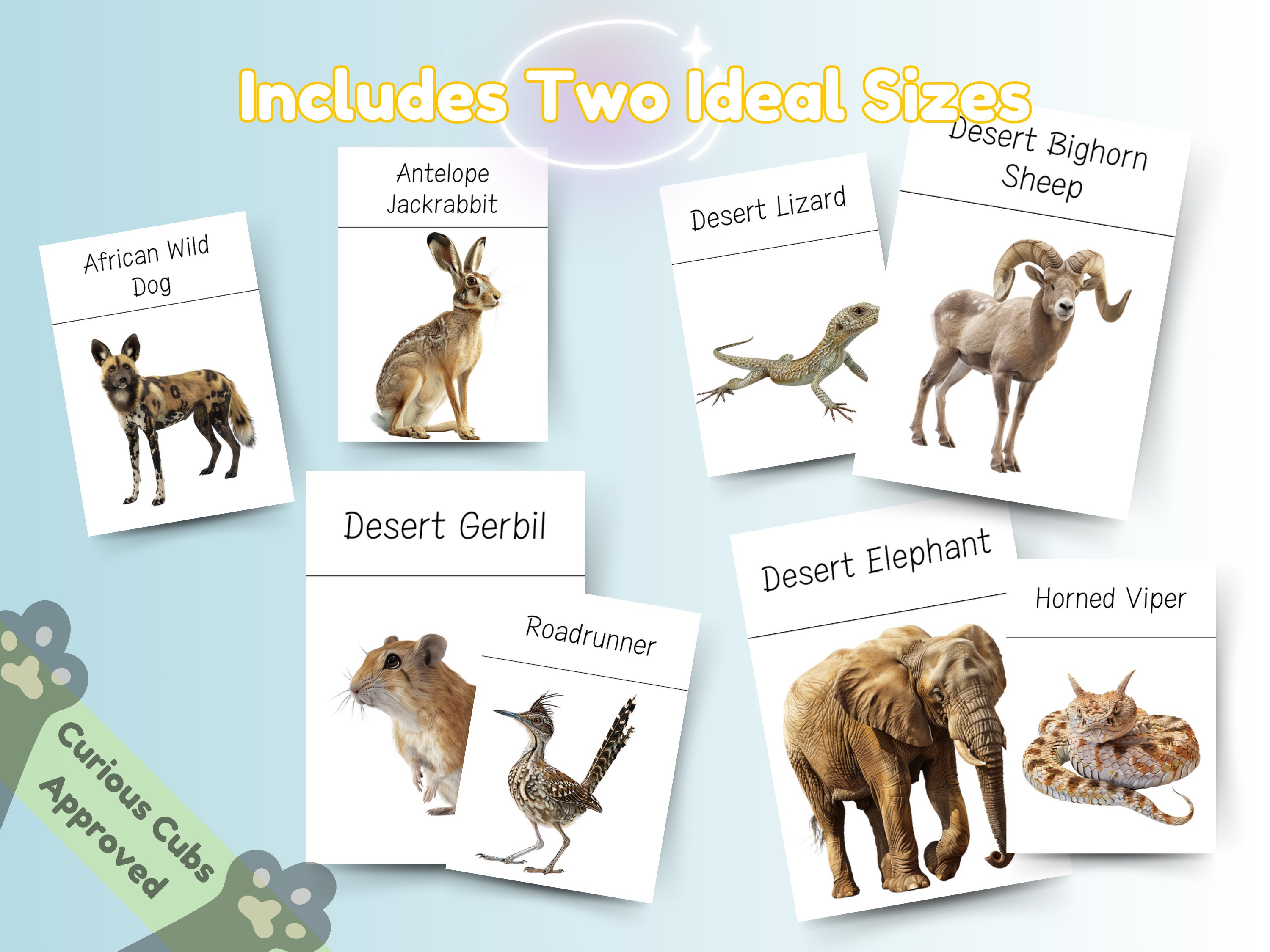 24 Desert Animals Montessori Flashcards With Fun Facts: Educational ...