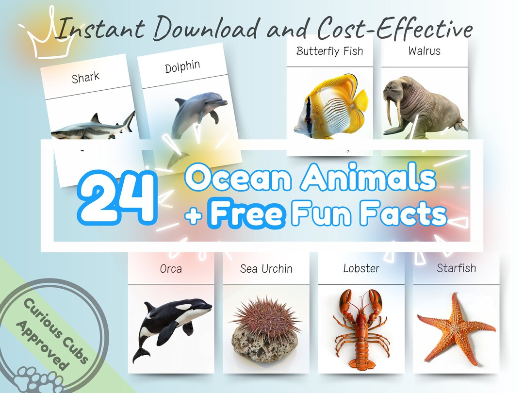 Ocean Animals Montessori Flashcards: Fun Facts, Toddler Education ...