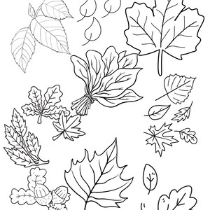 Thanksgiving Coloring Printables, Thanksgiving Activity for Kids ...