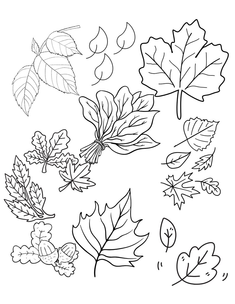 Thanksgiving Coloring Printables, Thanksgiving Activity for Kids ...