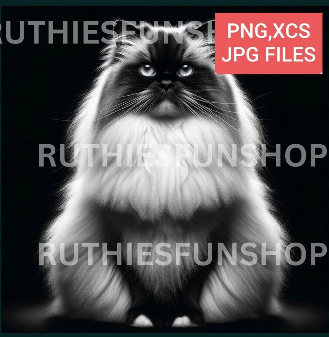 Himalayan Cat PNG/XCS Downloadable Files Slate or Wood Coasters ...