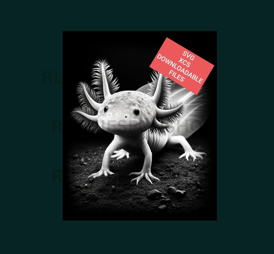 Axolotl 2 3D SVG/XCS Downloadable Files for Lasers Great for Slate or ...