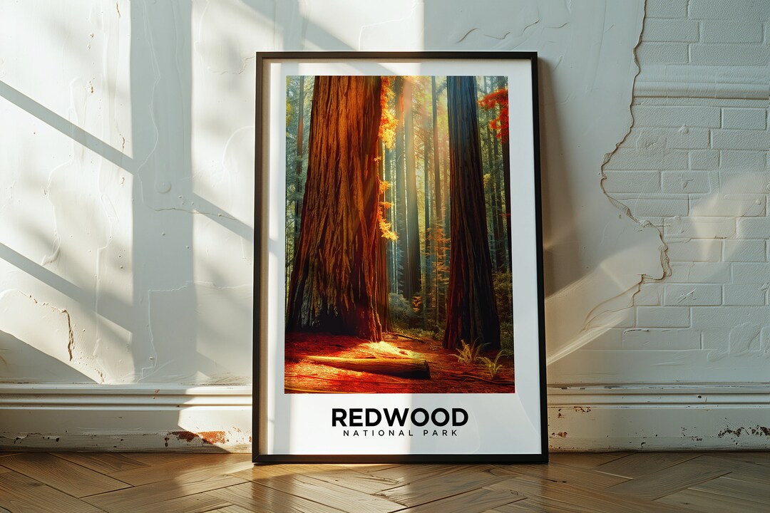 Redwood National Park - Travel Poster, California Artwork, Custom Home ...