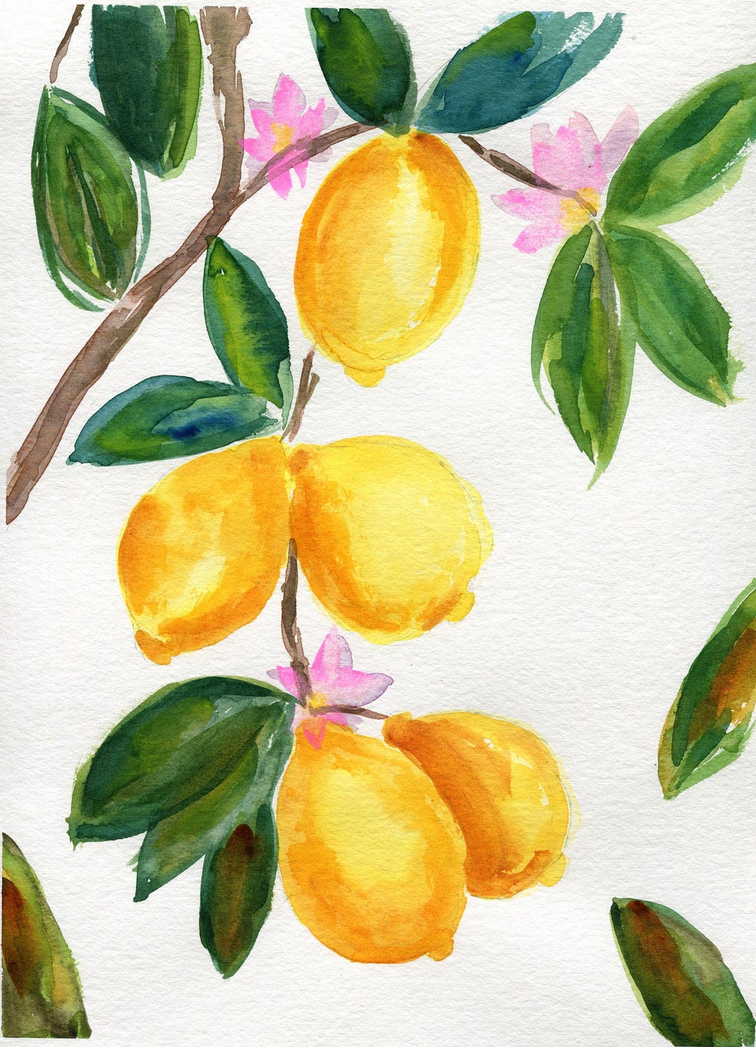 Lemon Tree Original Watercolor Painting, Flower Nursery Decor Wall Art ...