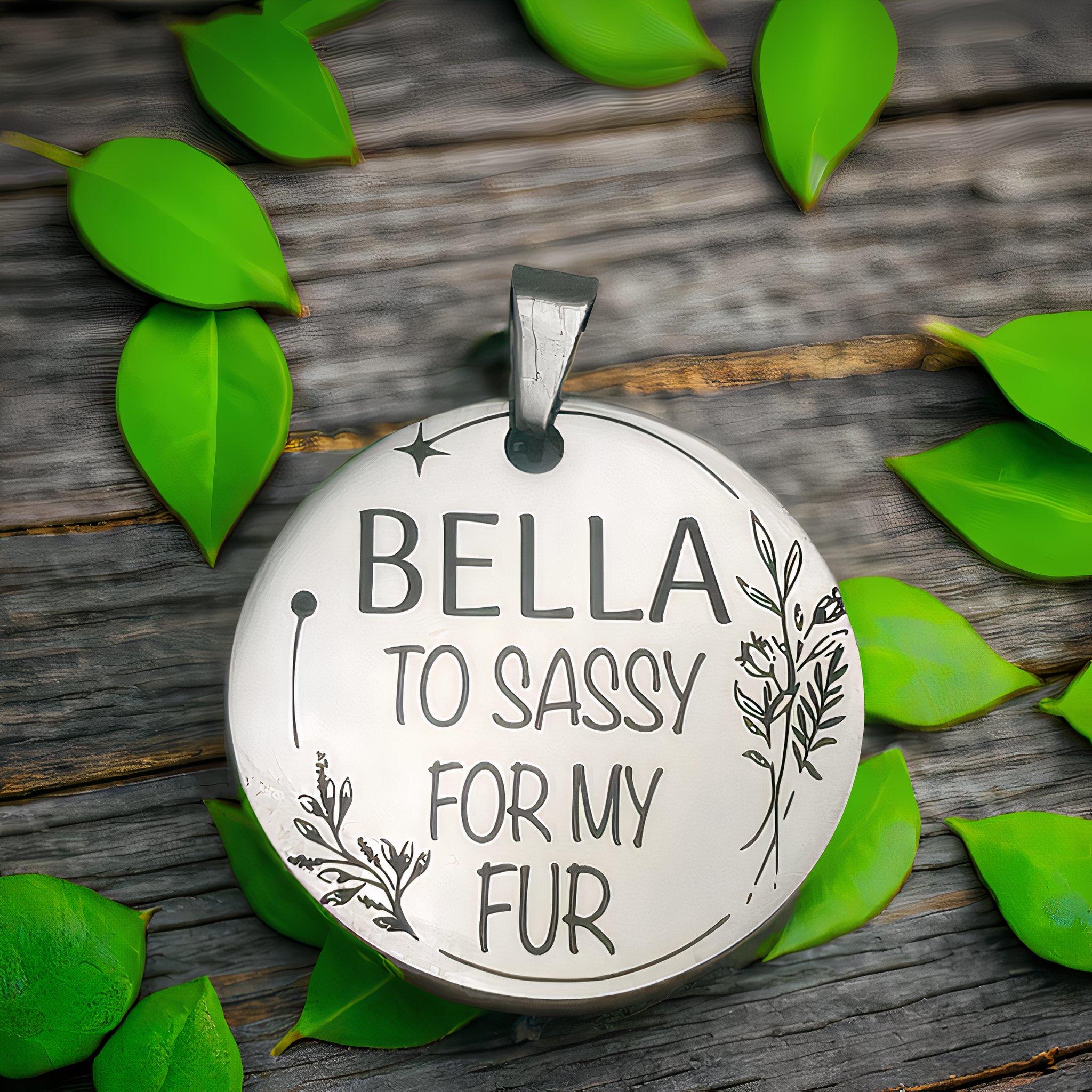 Personalized Funny Cat ID Tag: Laser Engraved Stainless Steel Pet Tag ...