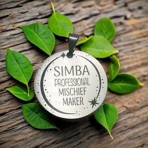 Personalized Funny Cat Metal Name Tag, Custom Laser Engraved Stainless ...